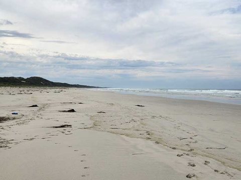 Top things to do in Nelson Victoria – Local attractions